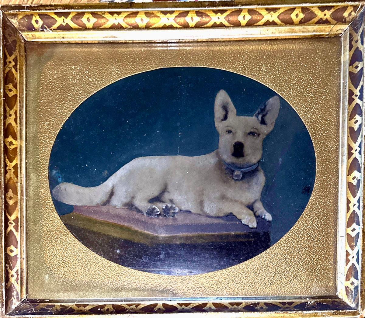 Rare Folk Art Painted Tintype Photo Little Dog Original Antique Frame ...