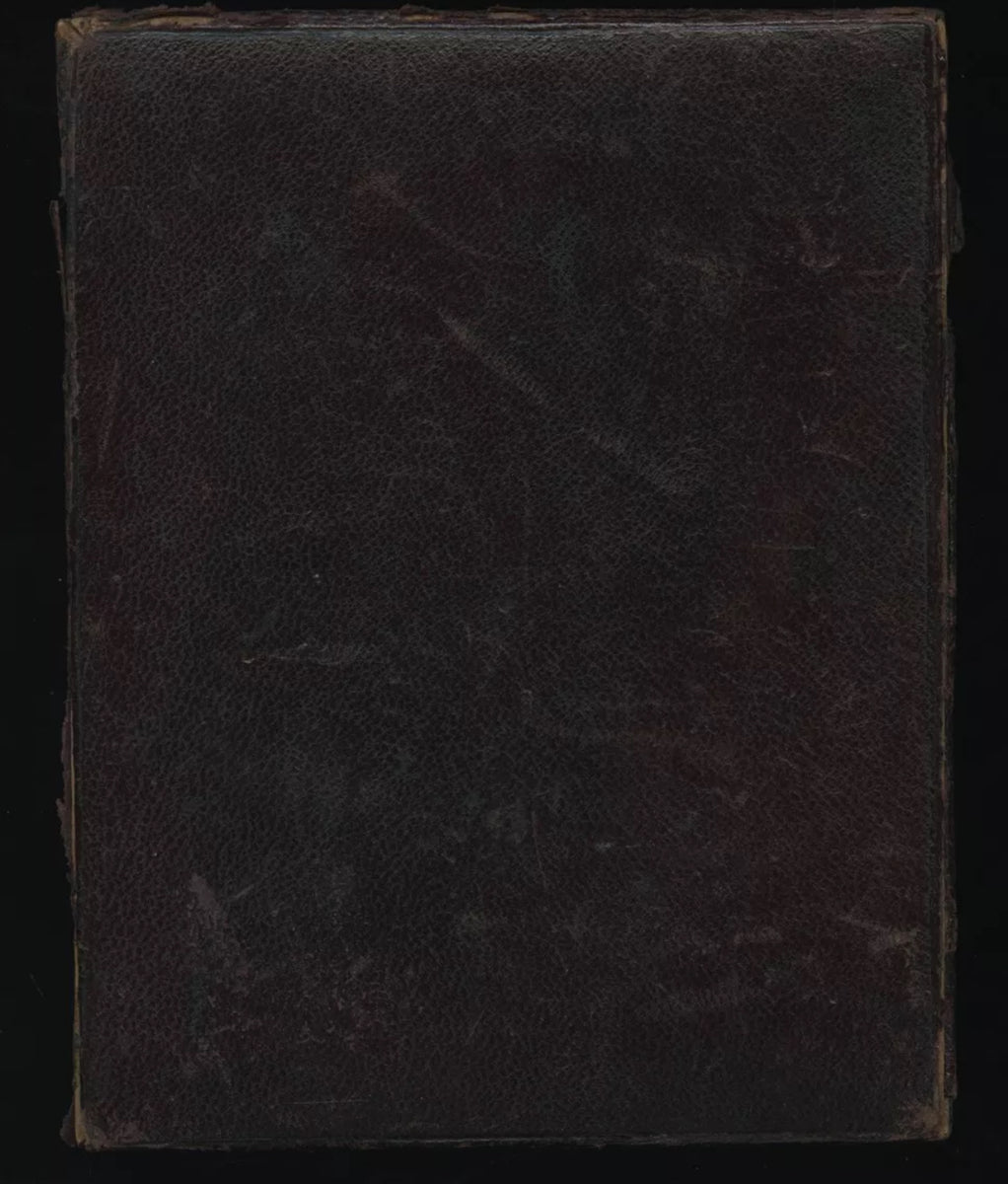 1/4 tinted ambrotype pretty woman painted gold jewelry paper mat 1850s ...