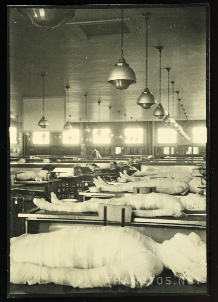 Super Creepy Vintage Photo - Wrapped Corpses in Autopsy / Anatomy Lab ...