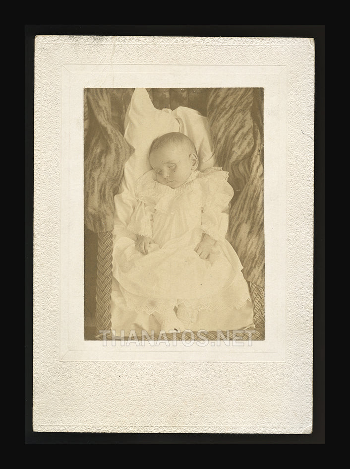 Post Mortem Cabinet Photo – The Thanatos Archive Store