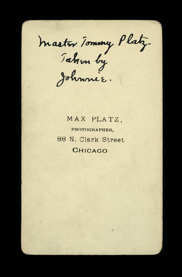 Photographer Max Platz's Pet Cat "Master Tommy Platz" - Rare CDV – The ...